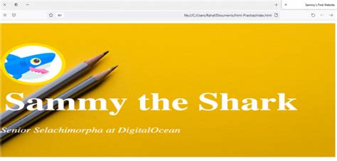 كيفية تصميم وتنسيق صفحة الويب الأساسية باستخدام تعليمات Html Html