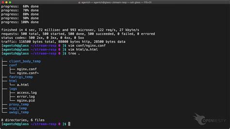 Streaming Response Output In OpenResty OpenResty Official Blog