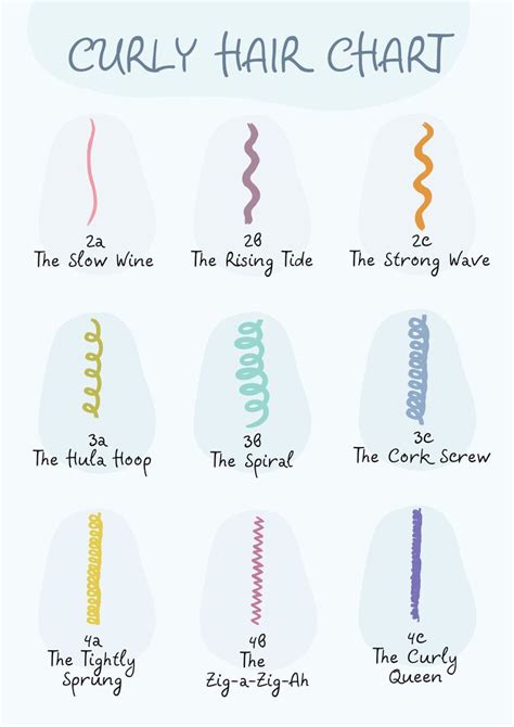 Curly Hair Type Chart Etsy Hair Chart Curly Hair Types Hair Type Chart