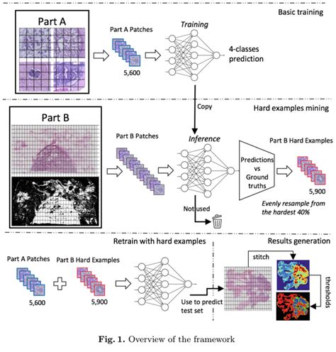 Histopathology Whole Slide Image Segmentation Using Image