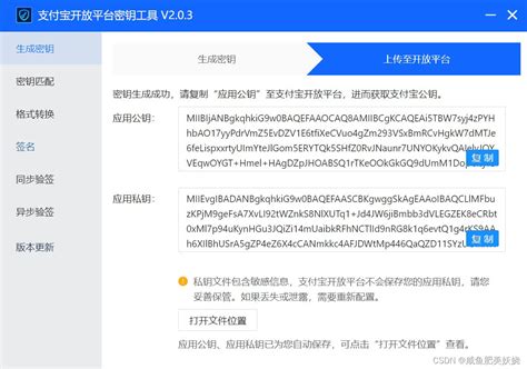 使用支付宝沙盒 Nodejs支付宝沙箱地址 Csdn博客