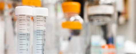 Testing And Doping Control Bwf Corporate