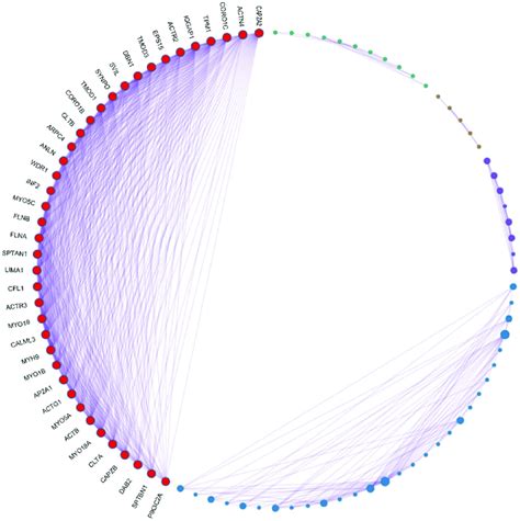Ppi Network Analysis Of Overlapping Ppp1cb Target Genes The Ppi Download Scientific Diagram