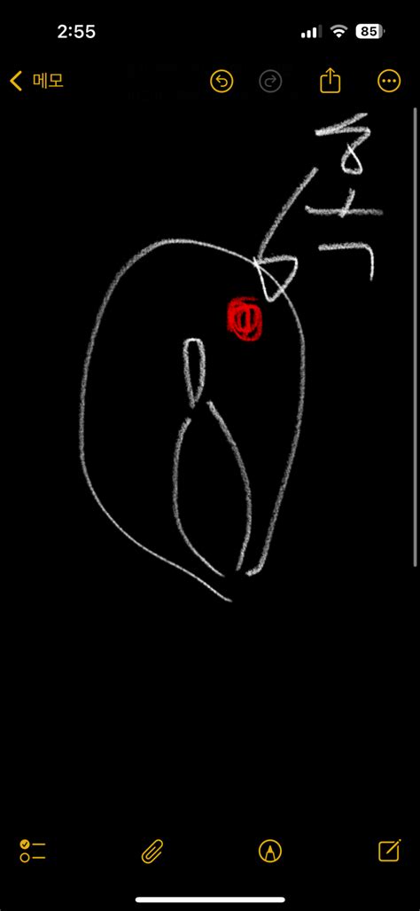 여자 생식기 혹 지식in