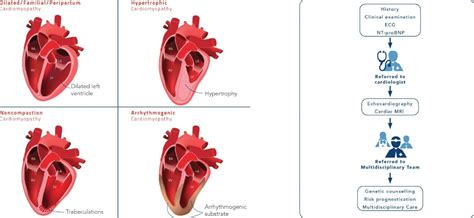 The Heart Risk Stratification And Management Of Women Facebook