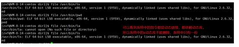 【linux】linux中gcc g 的使用 使用 std c99 或 std gnu99 来编译您的代码 csdn博客