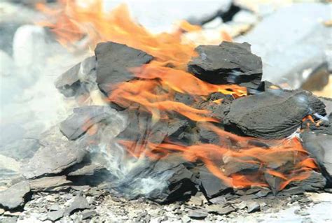 МЕТАН ХИЙ МОНГОЛЧУУДЫН АЛДАГДСАН БОЛОМЖ БОЛЧИХ ВИЙ