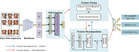 Figure 2 From Age Invariant Face Recognition By Multi Feature Fusionand
