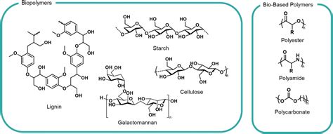 Sustainable Formulation Polymers For Home Beauty And Personal Care