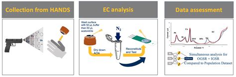 Electrochemical Detection Internal Standard At Natasha Pruitt Blog