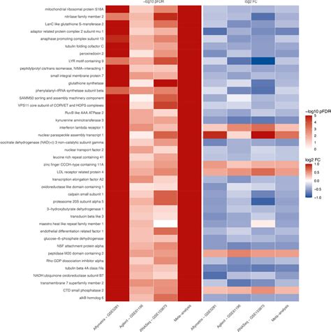 Rcpa An Open‐source R Package For Data Processing Differential