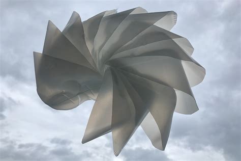 Fossils Of The Anthropocene Judy Harington