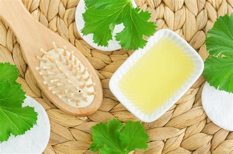 화장품 아로마 오일 헤어 브러시 면봉 및 제라늄 잎이 들어있는 작은 흰색 그릇 천연 헤어 케어 수제 스파 및 뷰티 트리트먼트 레시피 평면도 0명에 대한 스톡 사진 및 기타