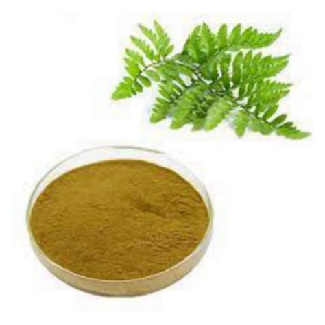 Plant Roots Extract Corn Silk Extract Manufacturer From Indore