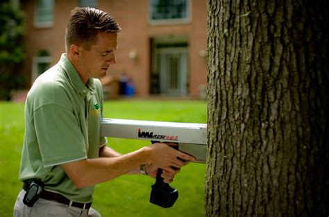 Tree Risk Assessment By The Ohio Tree Doctor