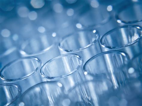 Overcoming Challenges Of Anti Drug Antibody Ada Assays Using Single