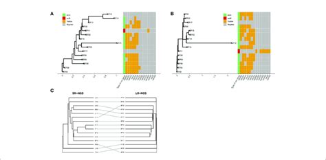 Comparison Of The Single Nucleotide Polymorphism Based Strain Typing Download Scientific