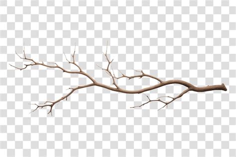 Bare Tree Branch On Transparent Premium AI Generated PSD