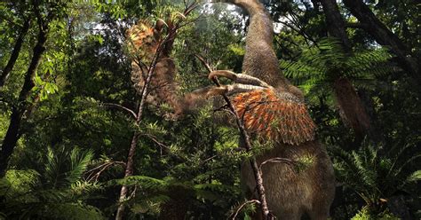 Weird Mongolian Dinosaur Wielded Big Sharp And Nasty Claws Reuters