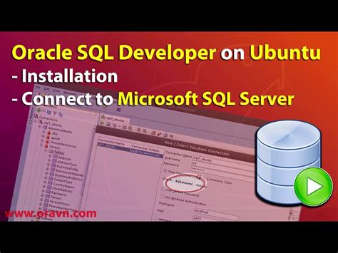 Oracle Sql Developer Connect To Microsoft Sql Server