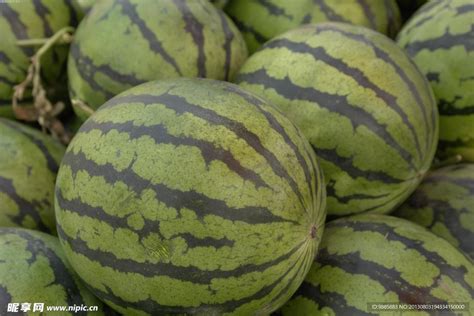 西瓜摄影图 水果 生物世界 摄影图库 昵图网