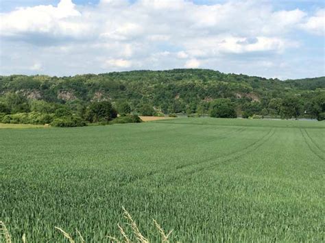 Nacktbaden Am Rheinufer In Sinzig Fkk In Rheinland Pfalz