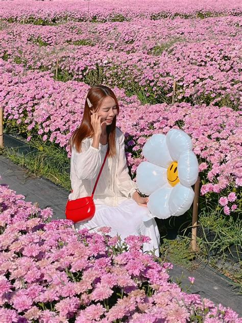 สวนดอกไม้สีชมพู🌸🌿 น่ารักทุกมุมเลย เข้าฟรี แกลเลอรีที่โพสต์โดย