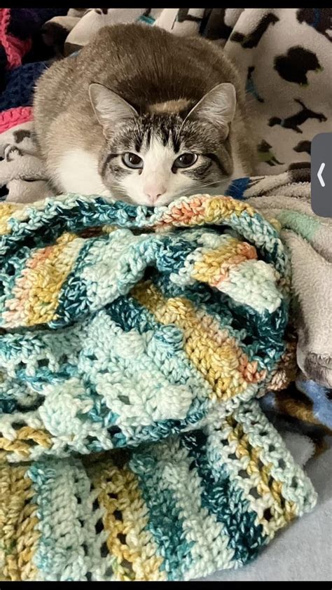help identifying this yarn r fiberartscirclejerk