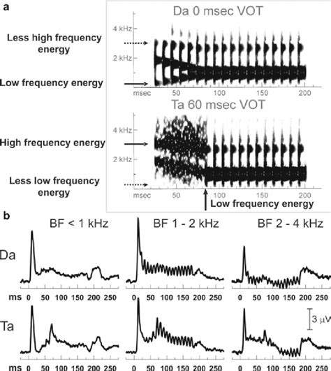 1 real time encoding of the spectral and temporal structure of
