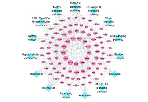 Target Pathway Network The Red Ellipse Nodes Represent The Target