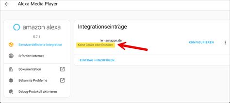 Alexa Media Player Doesnt Show Up Although Integration Was Installed Successful Voice