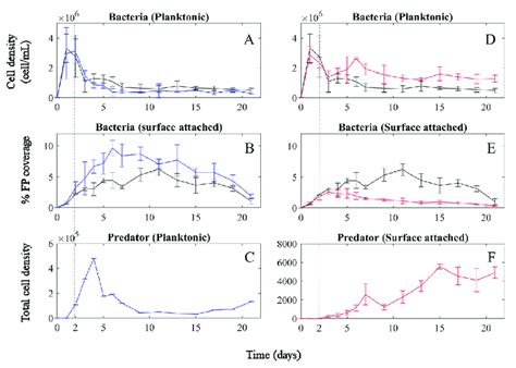 predator prey dynamics comparing bacteria population dynamics in the