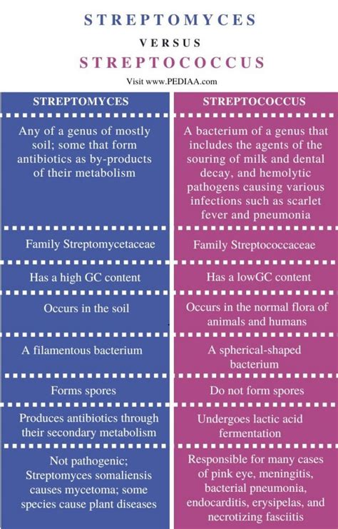 What Is The Difference Between Streptomyces And Streptococcus Pediaa Com
