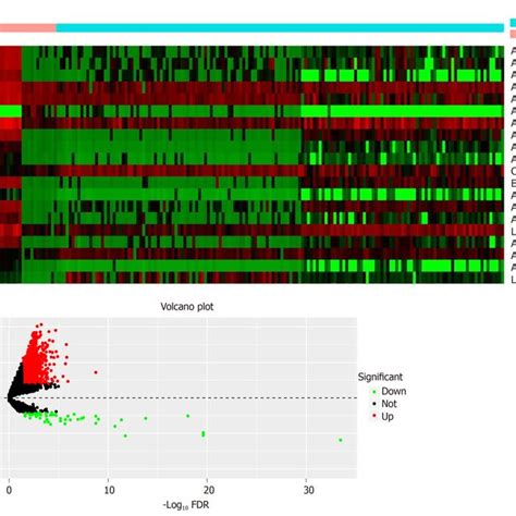 Heat Map And Volcano Plot A Heat Map Demonstrating The Differential