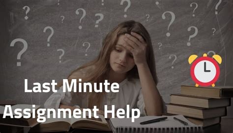 Last Minute Assignment Help Get Assignment In Last Minute Last Minute Assignment Help Get Assignment In Last Minute