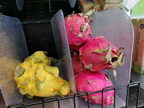 Увидела в магазине необычный фрукт Питахайя может ли она стоить 400 рублей за штуку