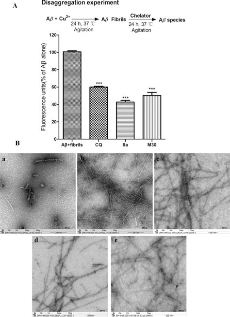 A Top Scheme Of The Disaggregation Experimental Procedure Bottom Download Scientific