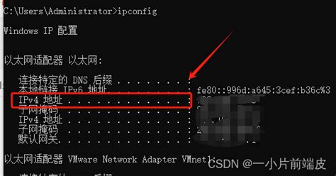 Vue3nodejs（websocket）实现监控拉rtsp流，使用flvjsffmpeg包（主要建立websocket是为了转码传流
