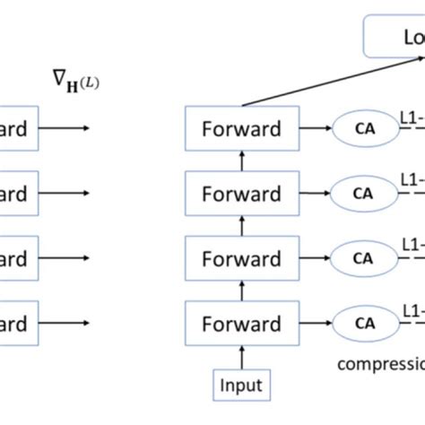 Integration Of Yolo V Model Structure Using Actnn Download Scientific Diagram