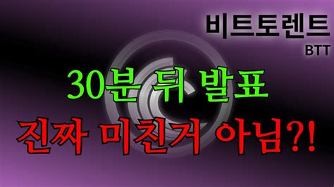 비트토렌트 30분 뒤 발표 진짜 미친거 아님 Youtube
