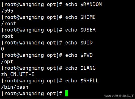 Shell的变量与赋值shell 变量赋值 Csdn博客