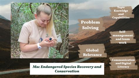 Synoptic Assessment By Brianna Mullins On Prezi