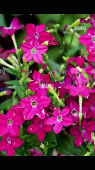 arslan shafiq uz zaman on linkedin creation almighty righteous calculation world