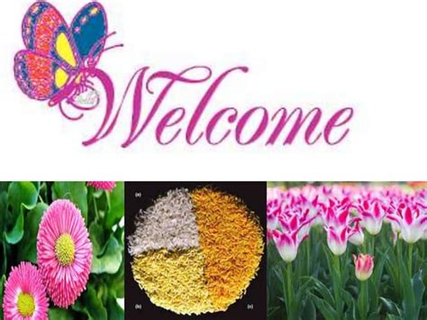 Saurabh Verma Ppt Pptx