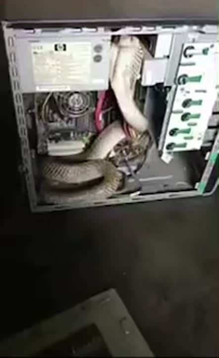 Andrés Garcia On Linkedin Worst Tech Support Issue Ever 60 Comments