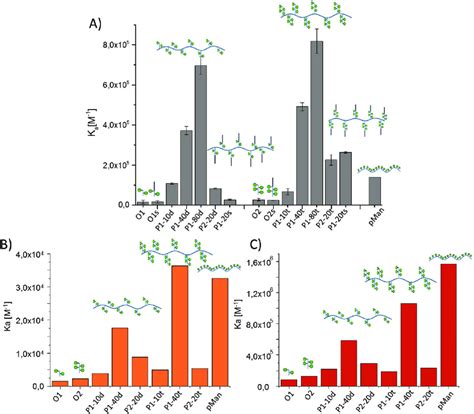 Binding Of Brush And Linear Glycopolymers To A Cona B Dc Sign And Download Scientific
