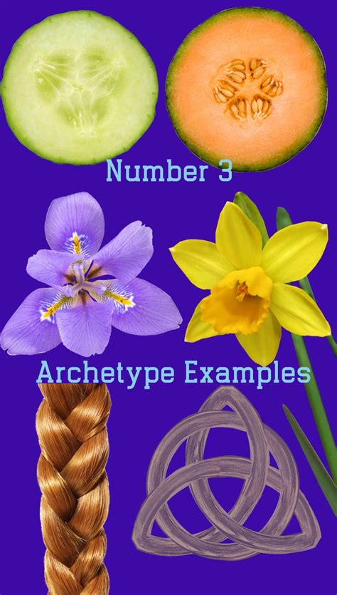 Number 3 Archetype Examples Plants And Cultural Symbols Archetype