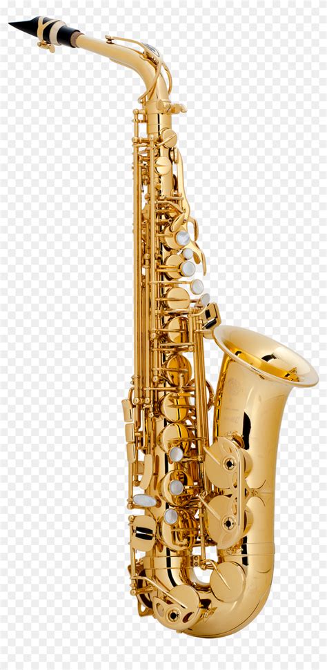 Selmer Paris Professional Model 62jgp Alto Saxophone Saxophone Alto