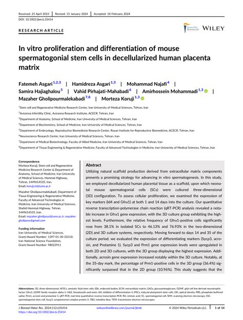 In Vitro Proliferation And Differentiation Of Mouse Spermatogonial Stem Cells In Decellularized