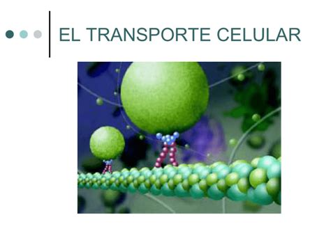 El Transporte Celular